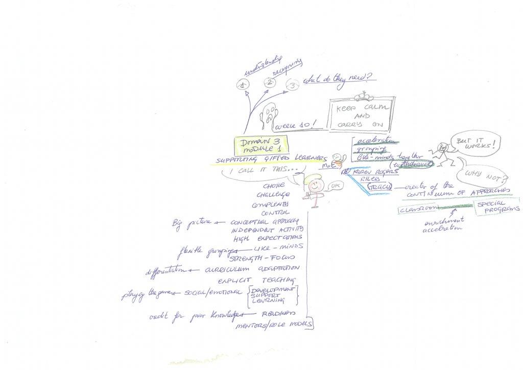 4. Domain 3 | Hoahoa - Massey University Eportfolio